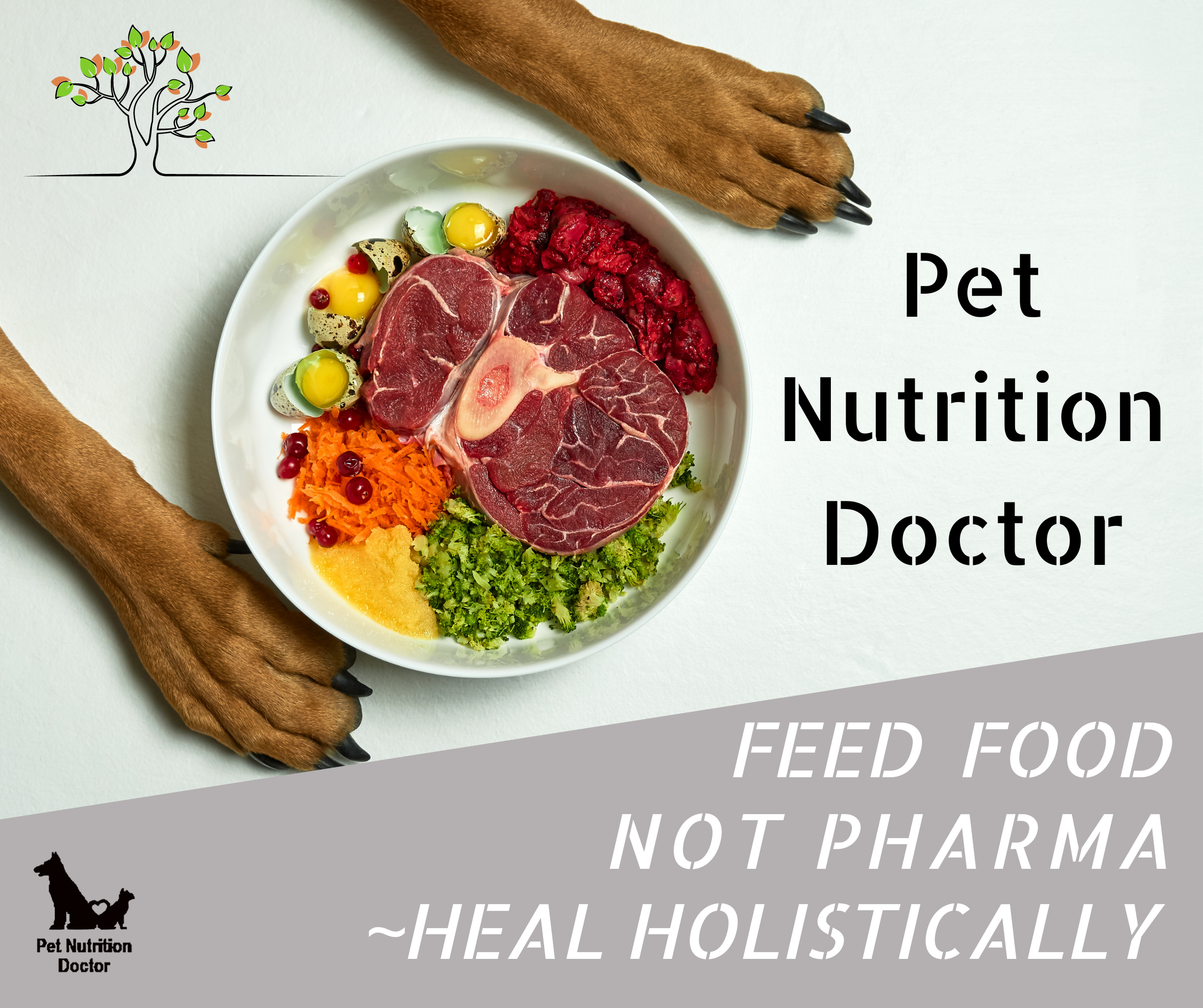 Course Thumbnails Food Not Pharma - Pet Nutrition Doctor