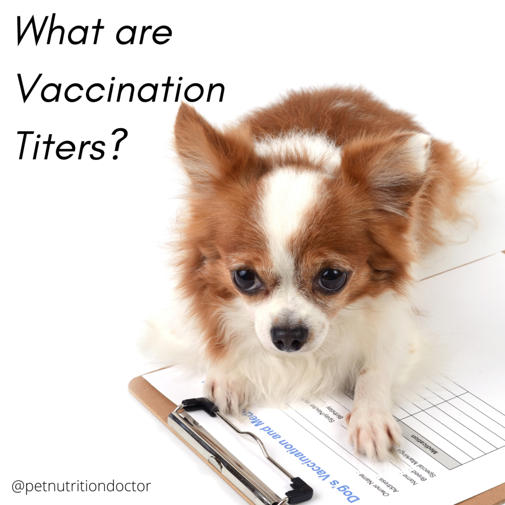 What Are Vaccine Titers? - Pet Nutrition Doctor